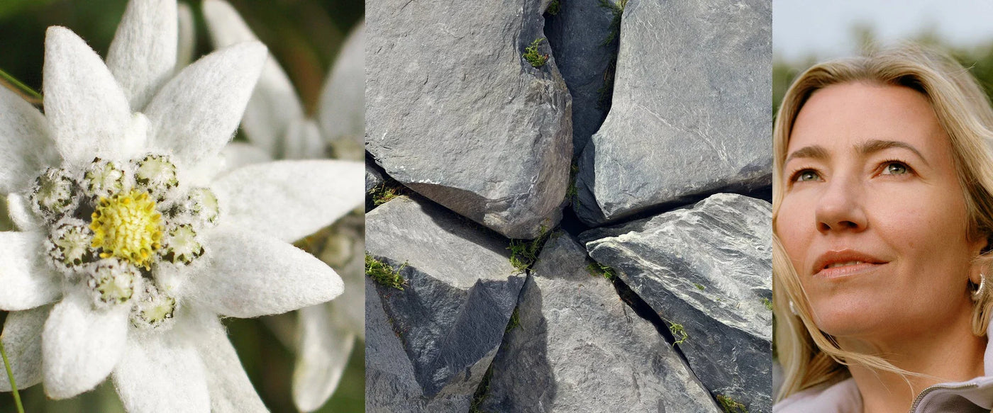Benefits of Edelweiss – The Body Shop Mauritius